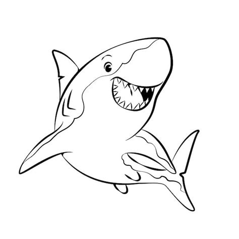 Free Vector Hand Drawn Flat Design Shark Outline Vector Sketch