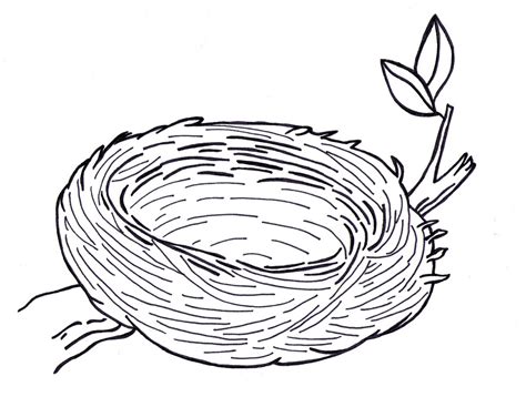 Desenho De Ninho De Passarinho Para Colorir Tudodesenhos
