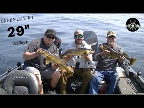 Walleye Fishing Green Bay Wisconsin YouTube