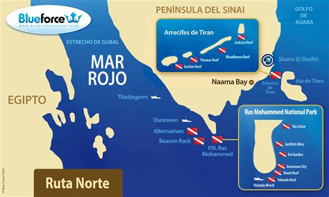 Scuba Diving In Sharm El Sheikh Liveaboard With Us Blue Force Fleet
