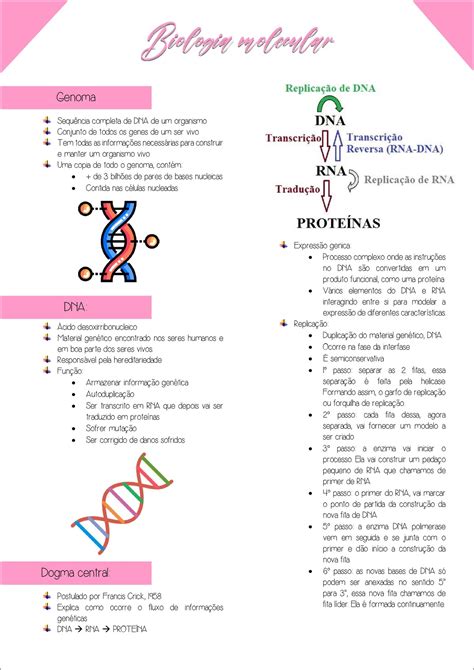 Biologia Molecular Mapa Mental LIBRAIN