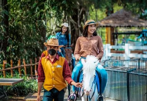 5 Tempat Wisata Hits Di Puncak Bogor Terbaru Cocok Untuk Libur Natal