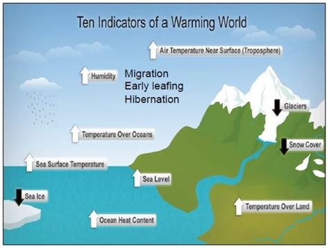 Changing Climate Flashcards Quizlet