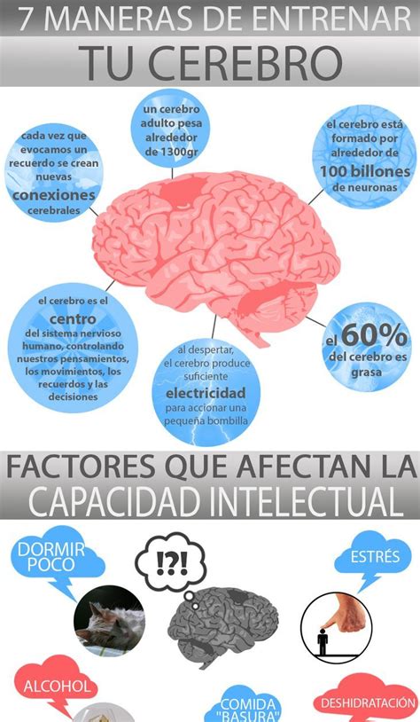 7 maneras de entrenar tu cerebro Infografías y Remedios