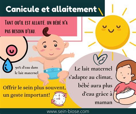 Infographies Sein Biose Soins en périnatalité et consultation en