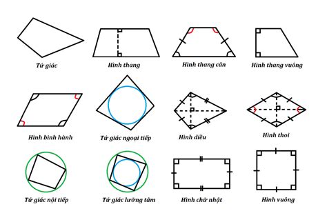 Cách vẽ tứ giác Bí quyết tạo hình đẹp mắt chỉ trong 5 bước Liugems