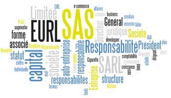 Sas Soci T Par Actions Simplifi Es Comptabilite