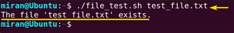 bash logical operators linuxsimply