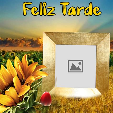 Julita02 s Buenos días buenas noches goodmorning feliz tarde