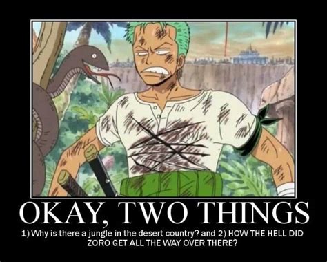 Oh Zoro How Do You Get So Lost XD One Piece Meme One Piece Funny