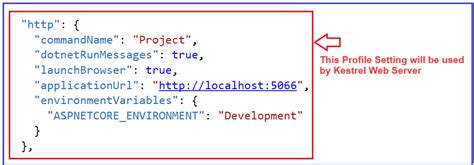 asp core launchsettings json file dot net tutorials