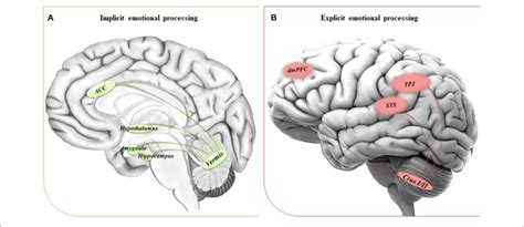 suggested networks for implicit and explicit emotional processing download scientific