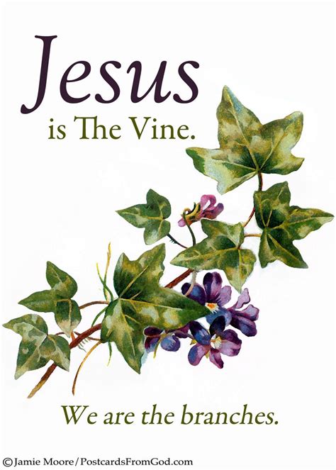 I Am The Vine You Are The Branches If You Remain In Me And I In You