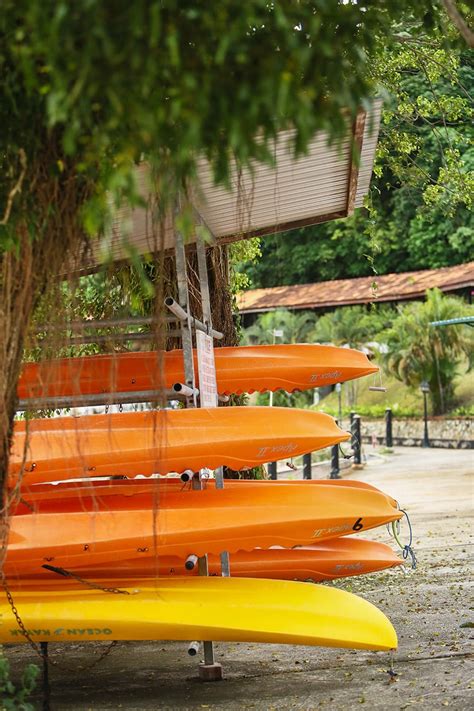 The Club Penang Swimming Club