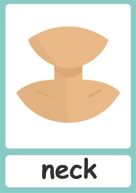 The Word Neck Is In Front Of An Image Of A Person S Head And Shoulders