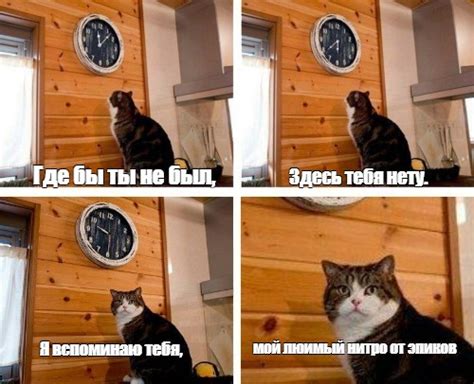 Сomics meme Где бы ты не был Здесь тебя нету мой люимый нитро от