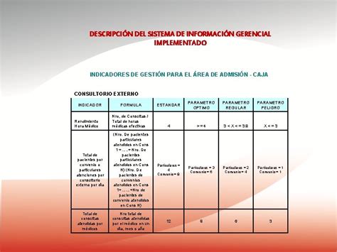ANALISIS DE UN SISTEMA DE INFORMACIN GERENCIAL CASO