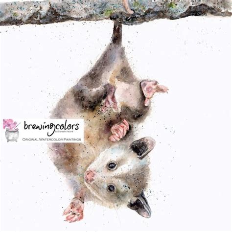 Possums Watercolor Etsy