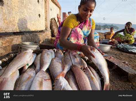 Indian Woman Selling Fish Andaman Islands India Stock Photo OFFSET
