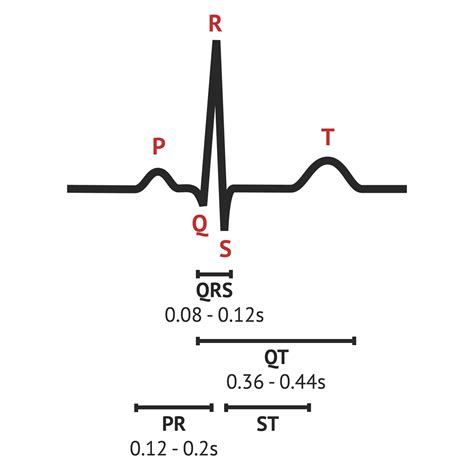 The Normal Ecg Trace Ecg Basics Medschool Free Nude Porn Photos