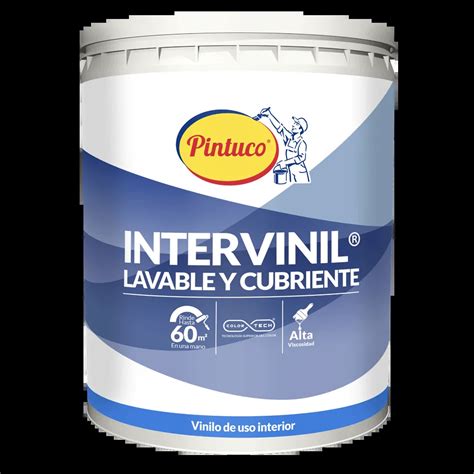 Pintura Tipo 2 Intervinil GRUPO IDEASA Al Pintar Somos la Solución