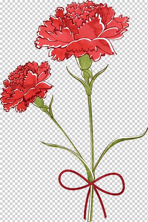 Ilustración de flores rojas clavel flor dibujo acuarela clavel
