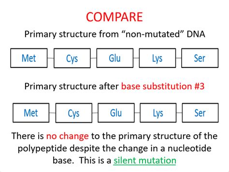 Gene Mutations AQA A Level Biology TOPIC 4 Teaching Resources