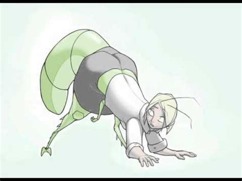 Insect Tfs YouTube