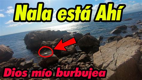 Grabo El Canto De Una Sirena Parte Youtube