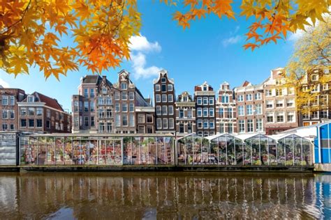 Bloemenmarkt The Flower Market Tickets Timetables And Useful