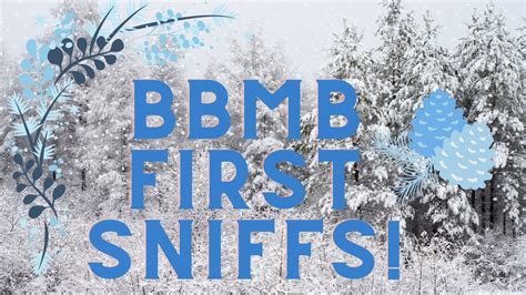 January 2024 BBMB First Sniffs YouTube