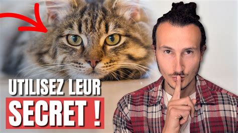 Appliquez Ce Secret Des Chats Pour Gu Rir Instantan Ment Youtube