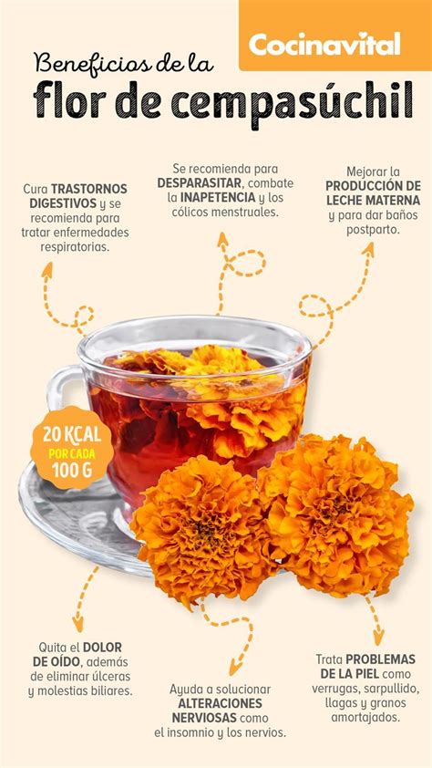Así como la usas para adornar tu ofrenda y llenar de color tu casa en