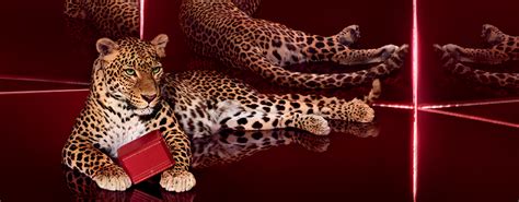 Cartier Panther Campaigns And Content Watch Jewelry Mazarine