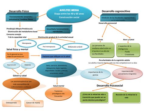 MAPA Conceptual Adulto Mayor Desarrollo FÌsico Desarrollo