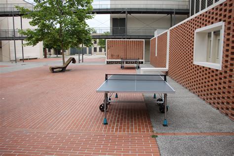 Ping Pong Licence Sciences Du Langage