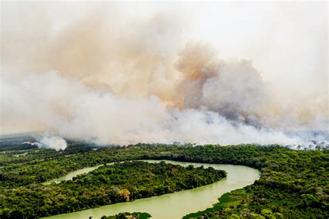 Pantanal tem mês de setembro maior focos de queimada da história