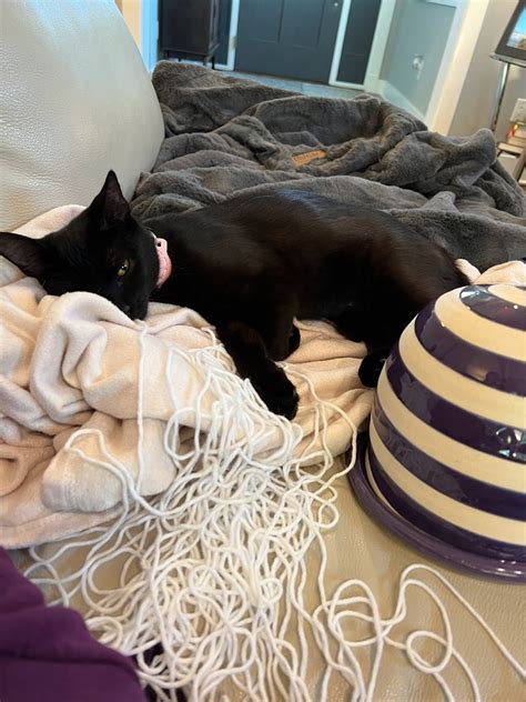 Why I Crochet Rustling Crochet Co
