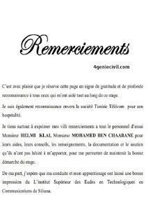 Id Es De Exemple Remerciements Rapport De Stage Remerciement