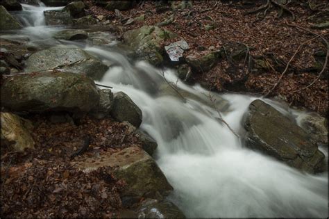 Riera De Santa Fe Del Montseny Fotopsia Cat Flickr