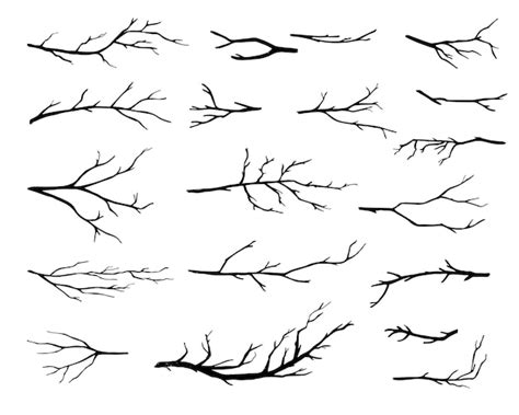 Silueta Negra Vectorial De Un Rbol Desnudo Vector Premium
