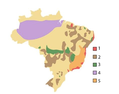 Mapa Mental Ciclos Econômicos Do Brasil EDUKITA