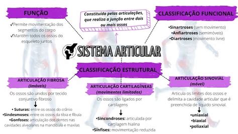 mapa mental Cinesiologia e Biomecânica