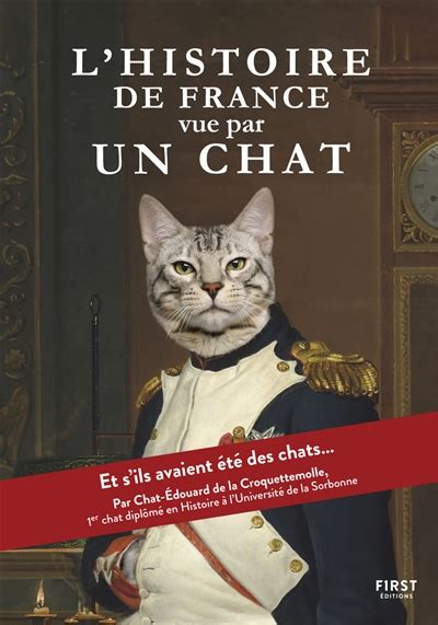 L Histoire De France Vue Par Un Chat De Fr D Ric Pouhier Susie Jung