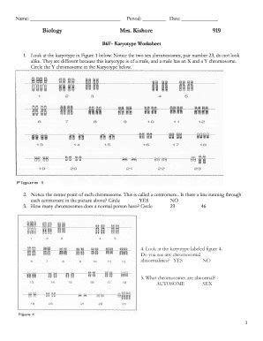 Karyotype Worksheet Pdf Fill Online Printable Fillable Blank