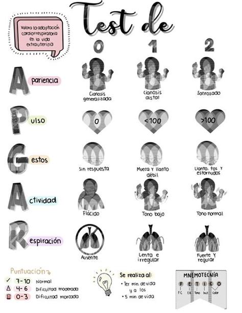 Test De Apgar Daphnee Gonzales Udocz