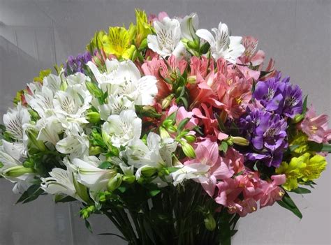 Hajime On Twitter Rt Naked Staff Naked Flowers For You