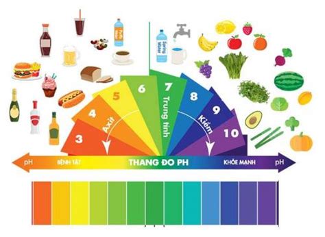 Cân bằng trong dung dịch nước Hóa học 11