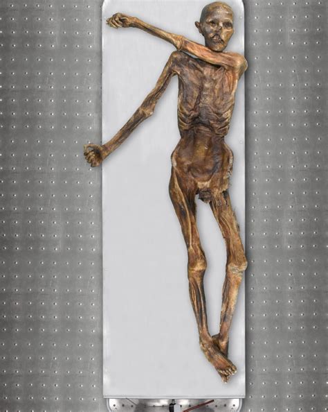 Bald and dark like his mummy DNA redraws picture of Iceman Ötzi
