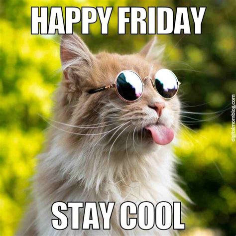Kickstart Your Weekend With These Hilarious Friday Memes In 2024